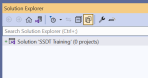 Visual Studio Solution for SSDT – Rogge Heflin
